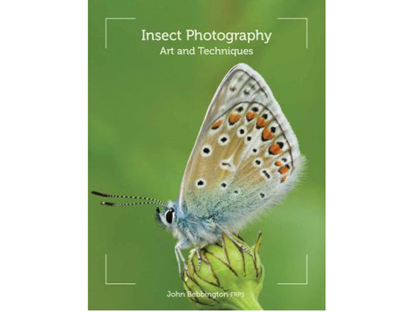 A Photographic Guide to Insects of Southern Europe & the Mediterranean ...
