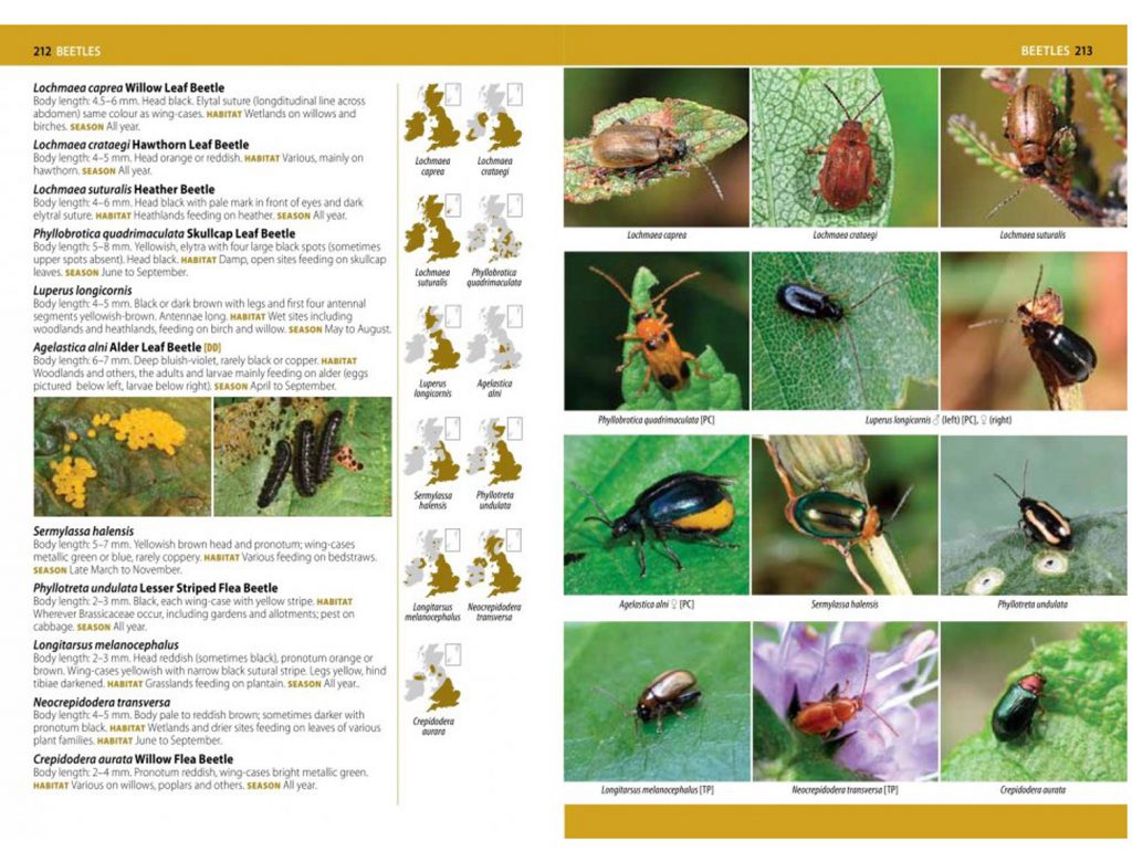 A comprehensive guide to Insects of Britain & Ireland- herdruk ...