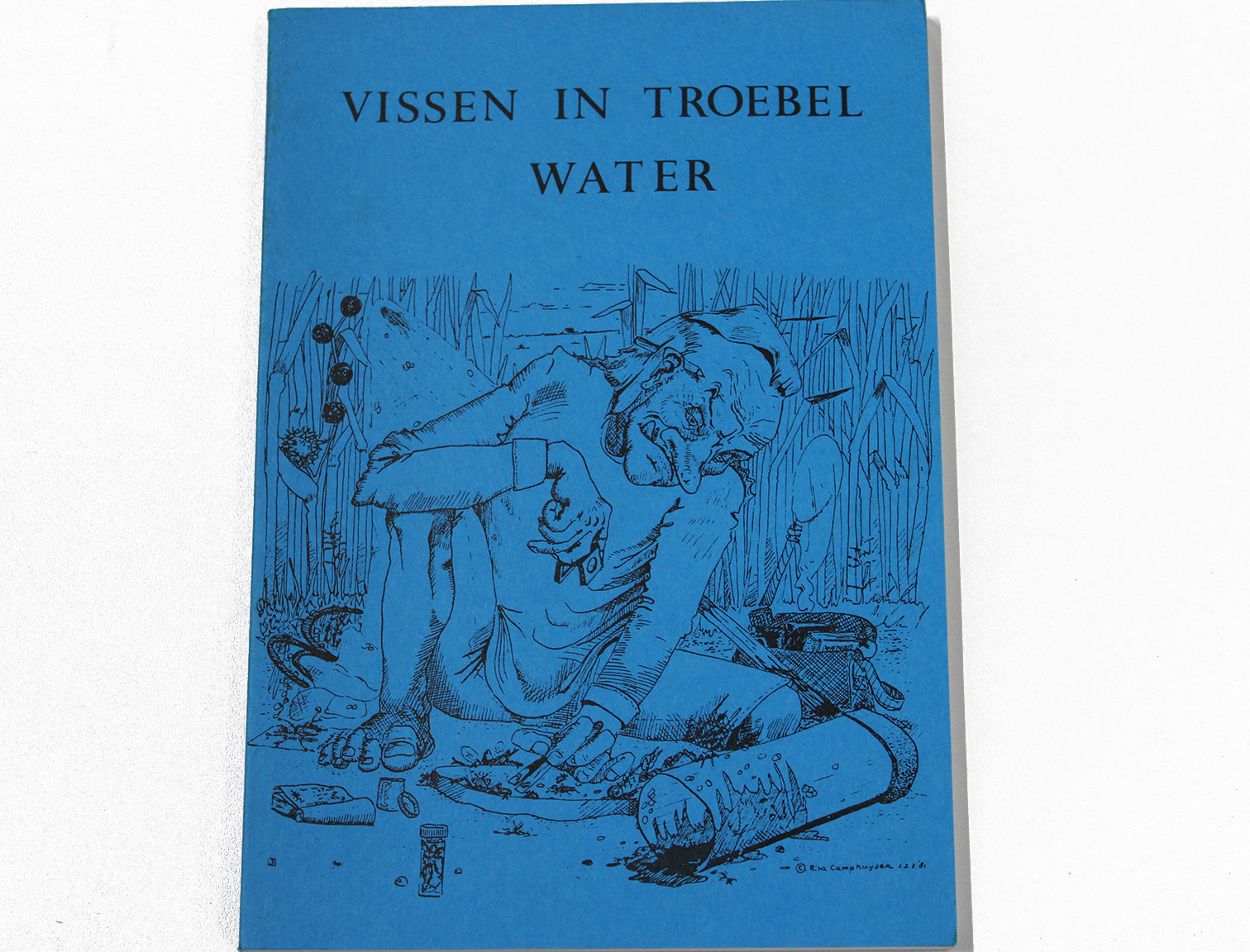 Vissen in troebel water - Vermandel.com