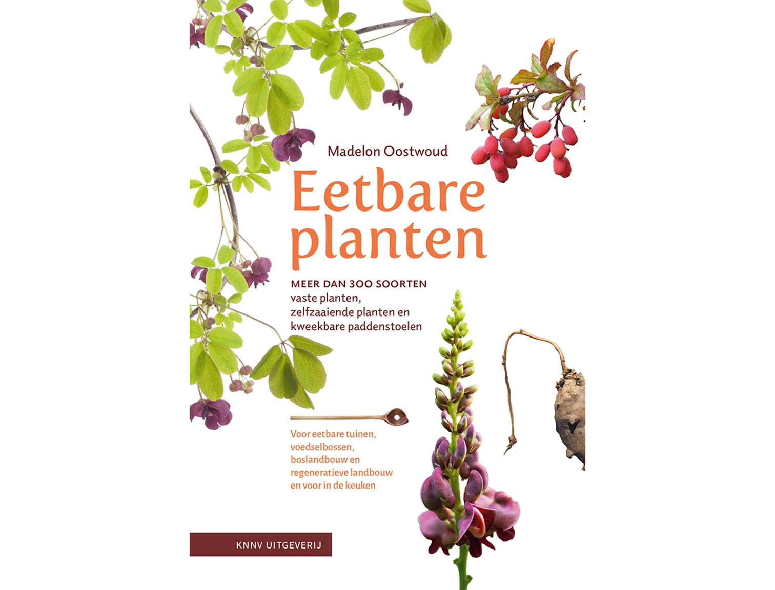 Eetbare planten - Vermandel.com